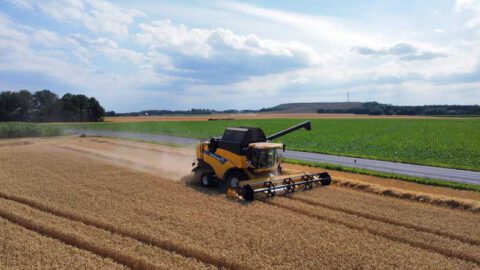 Start - ISO STROH West | Die natürlichste Art zu dämmen